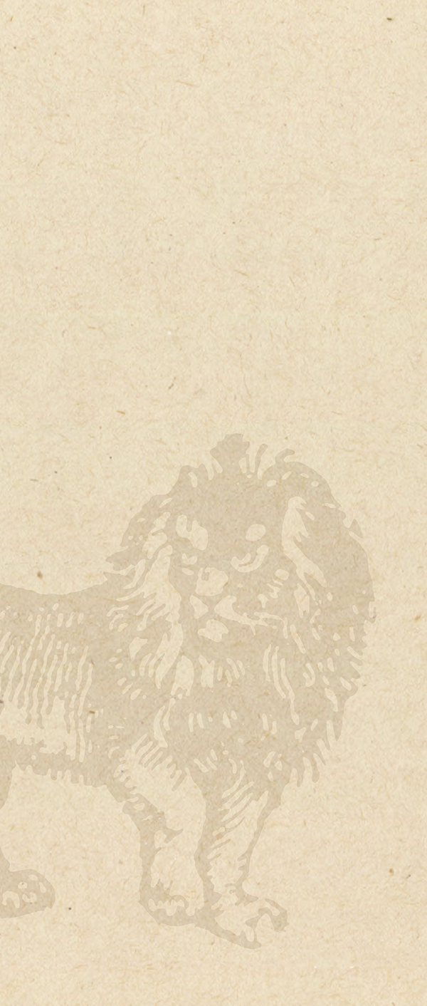 Uprising Limited Edition LP - Bob Marley Official Store